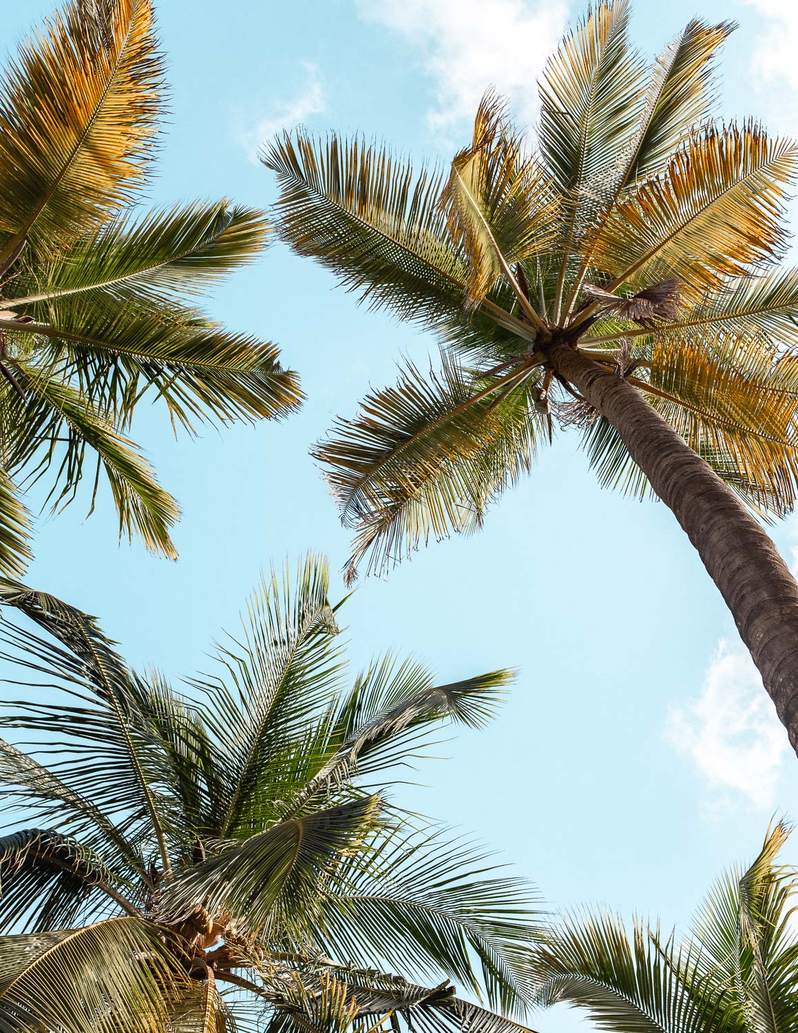 Ultimate Beach Vacation Packing List (2026 Guide + Checklist)